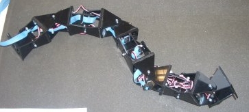 Training on modular snake robots - WikiRobotics